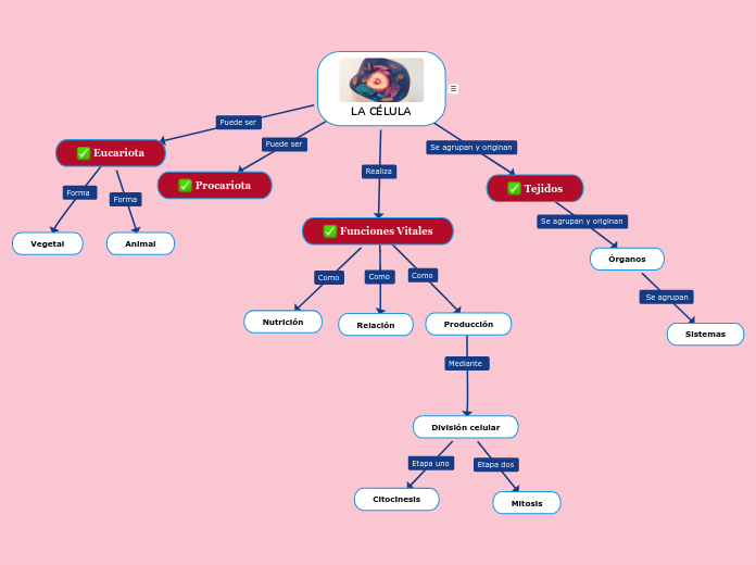 LA CÉLULA - Mind Map